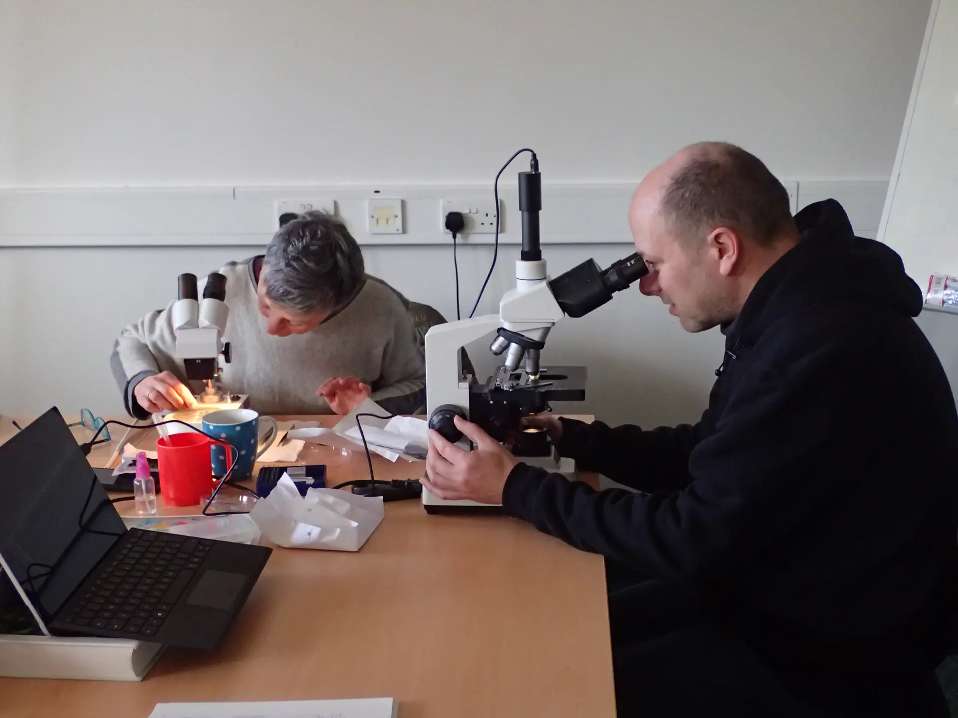 Freshwater Microbiota - Cofnod